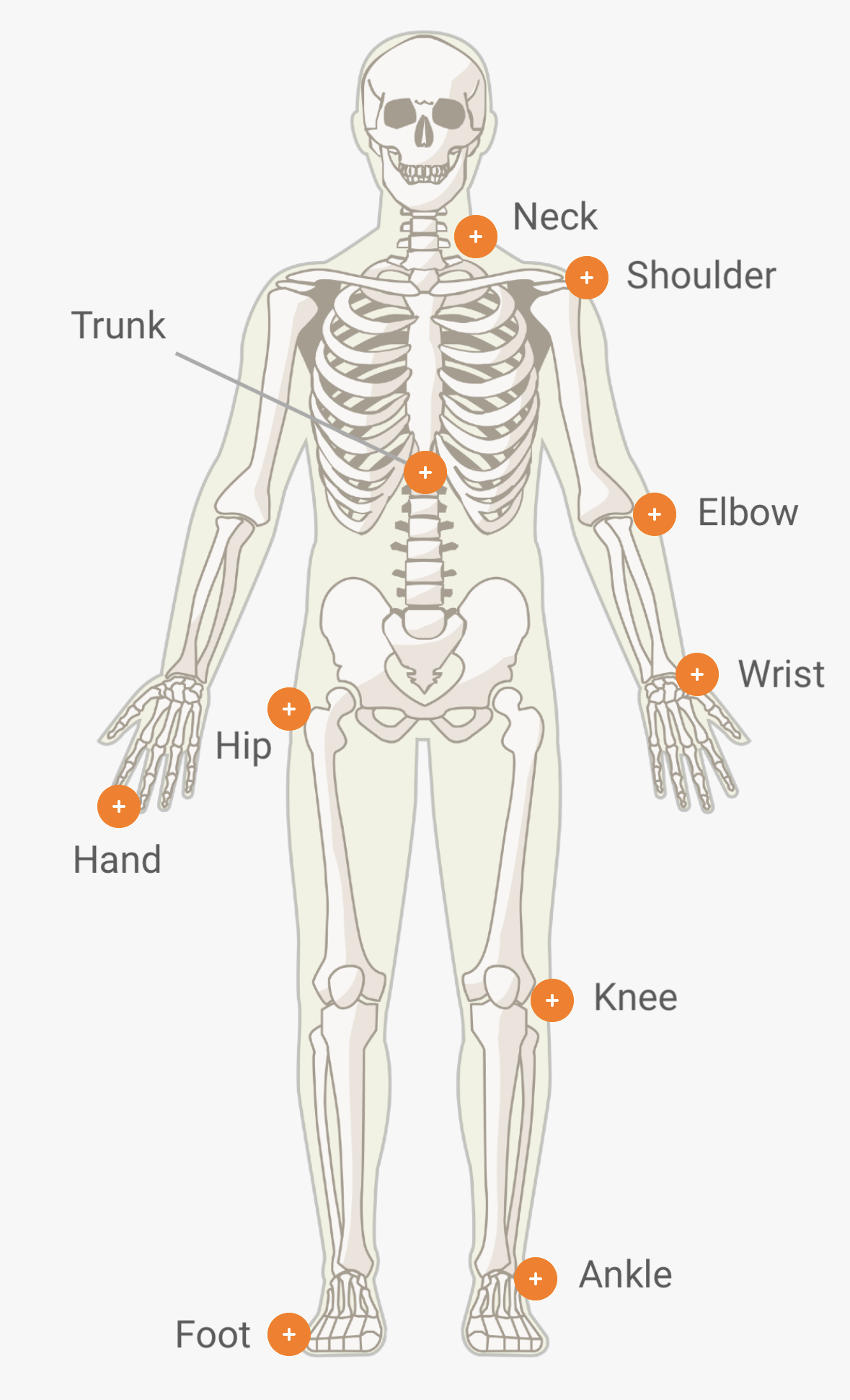 Record a range of motion (ROM) test with DynaMo – VALD Knowledge Base